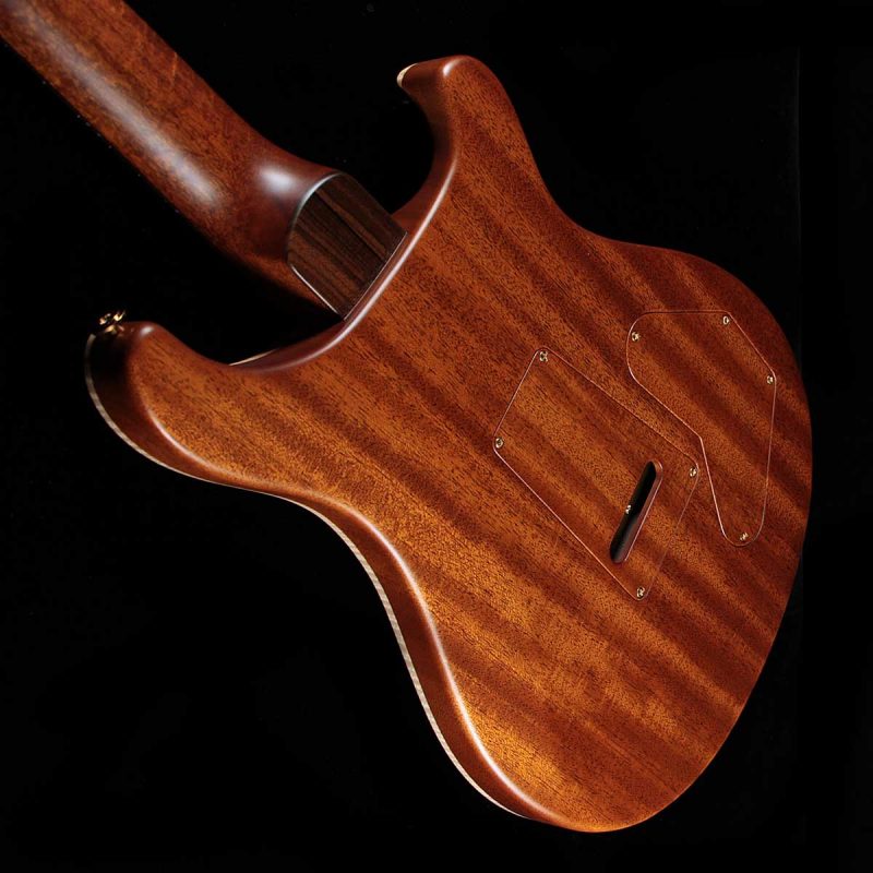 PRS Private Stock Birds of a Feather | Lefty Guitars Only